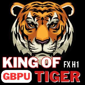 GBPU KING OF TIGER FX H1 - システムトレード - 世界のトレード手法・ツールが集まるマーケットプレイス - GogoJungle