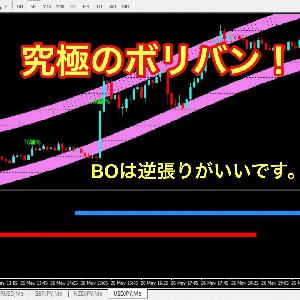FX BO バイナリーオプションサインツール バインド - インジケーター・電子書籍 - 世界のトレード手法・ツールが集まるマーケットプレイス - GogoJungle